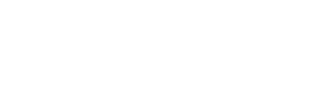 Dynamatic Business – DBPL