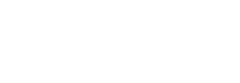 Dynamatic Business – DBPL